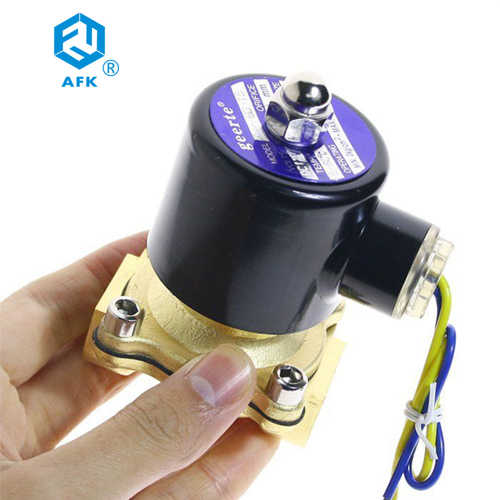 15mm Klep van de Watersolenoïde 1/2 de Manier van 220V 2 met NPT ...